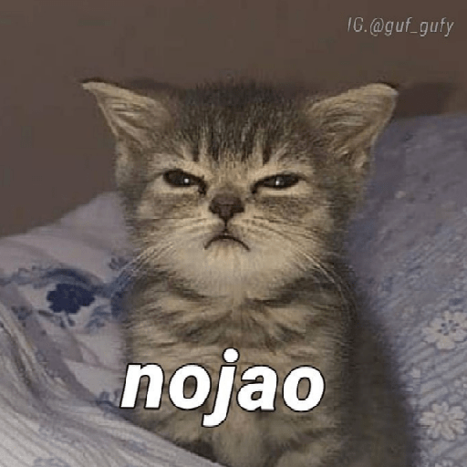 Michis con frases 🐱🐱🐱