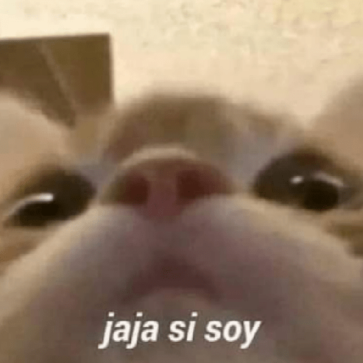 Michis con frases 🐱🐱🐱