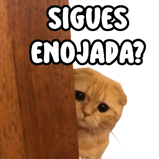 Pinterest Pero HD 🤯