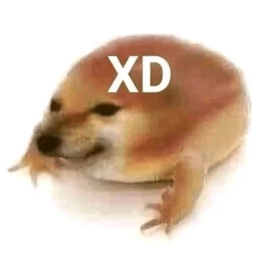 Shitpost Abril 😈