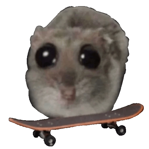 Ratoncito Cute Memes 🥹