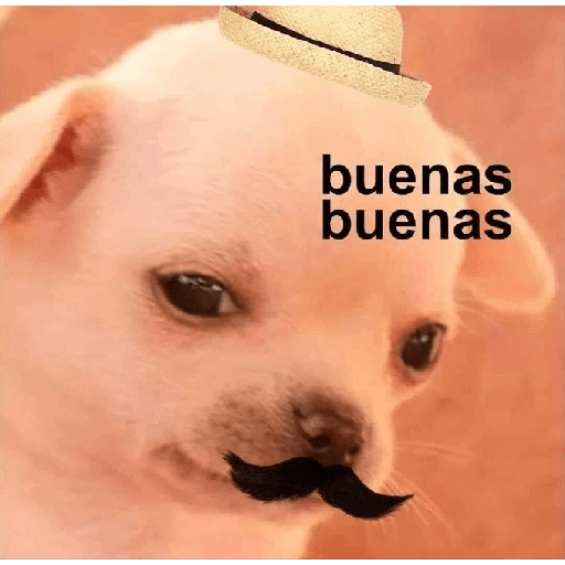 Stickers para Grupos pt2