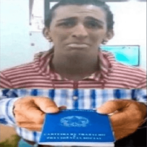 figs do vídeo