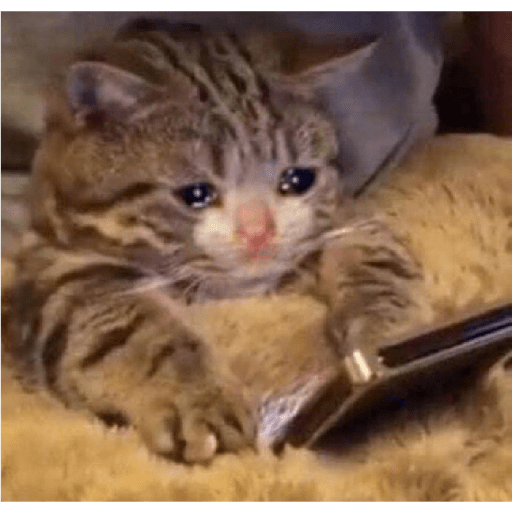cats.exe
