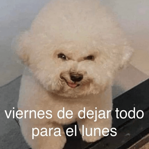 🐶Frases Doggy🐶