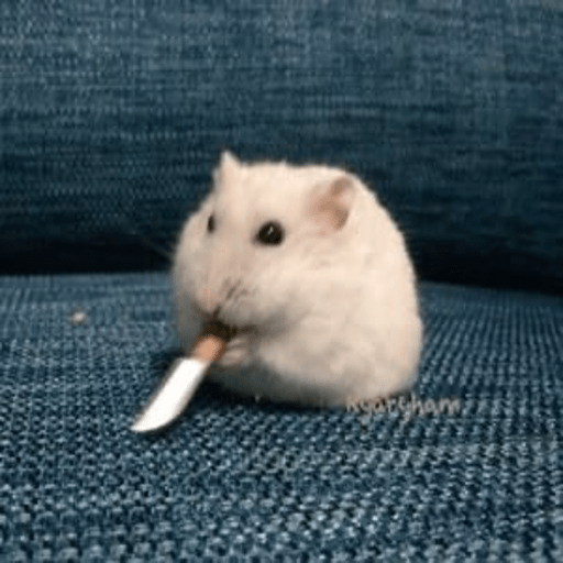 🐹•💕Hámster Moods💕•🐹