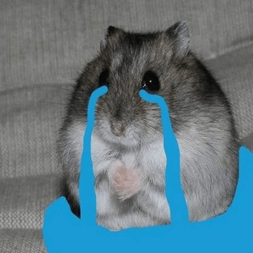 🐹•💕Hámster Moods💕•🐹