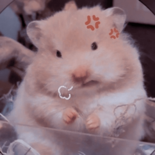 🐹•💕Hámster Moods💕•🐹