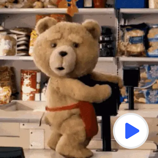 Memes Ted 🧸