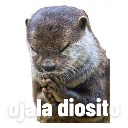 nutrias