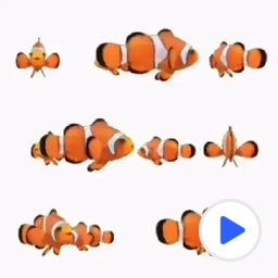 spinning fish sticker