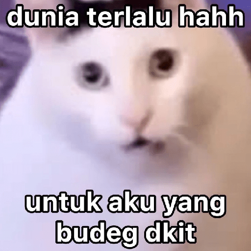 meme