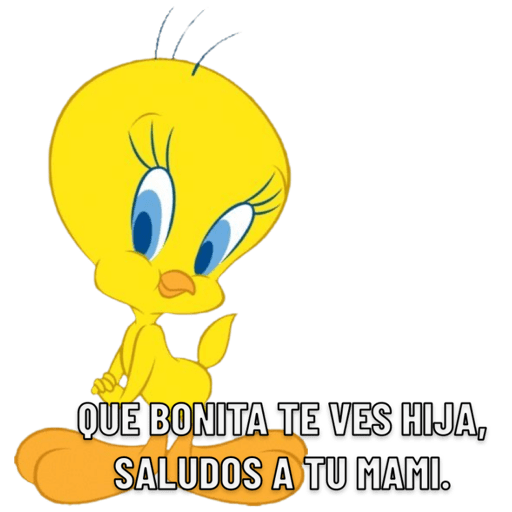 Piolin frases de señora