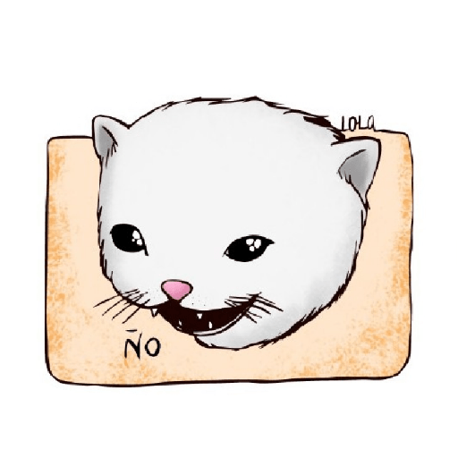 gato memes