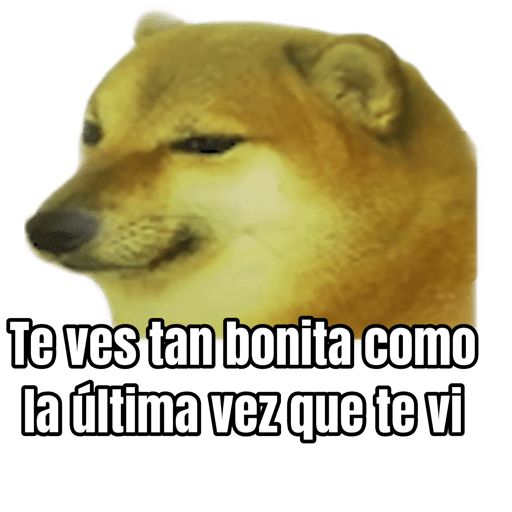 Amor & Shitpost 🥵?♥