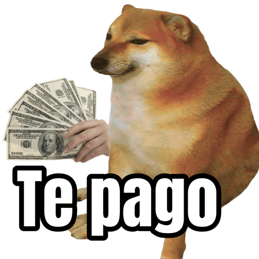 Amor & Shitpost 🥵?♥