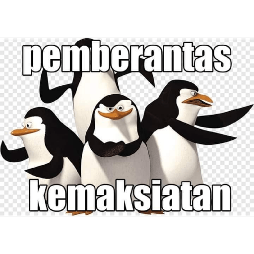 bokep penguin