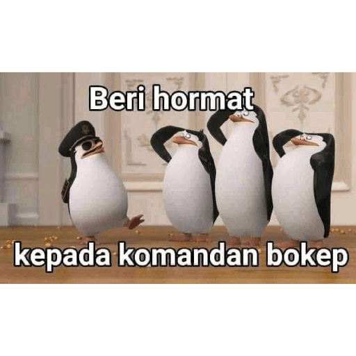 bokep penguin