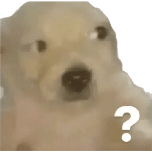 Sticker.ly - Chat Stickers & Memes for WhatsApp