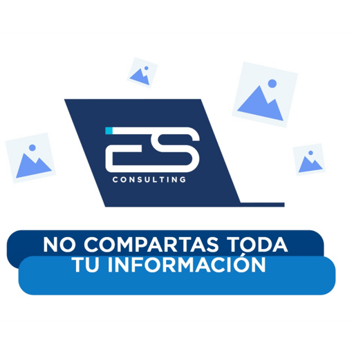 ES Consulting