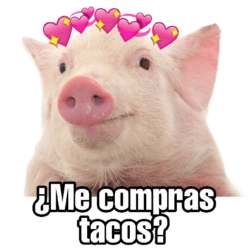 Cerditos 🐷💕