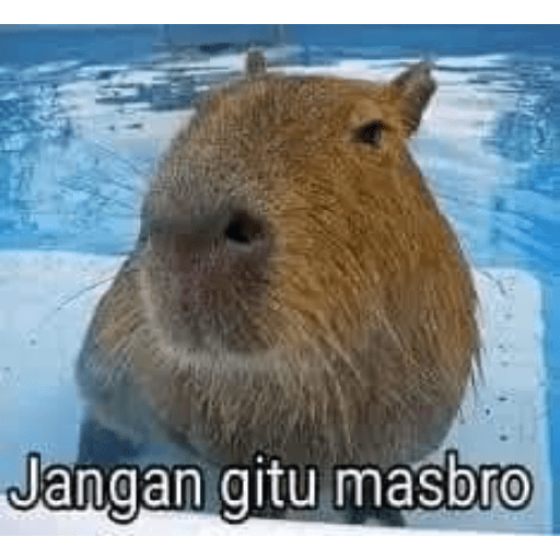masbro