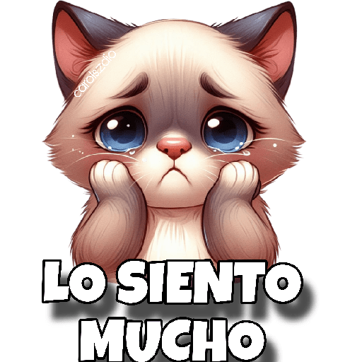 PERDON, LO SIENTO 🥺😿