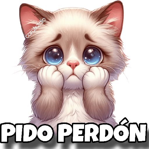 PERDON, LO SIENTO 🥺😿