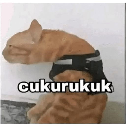 cukurukuk meme