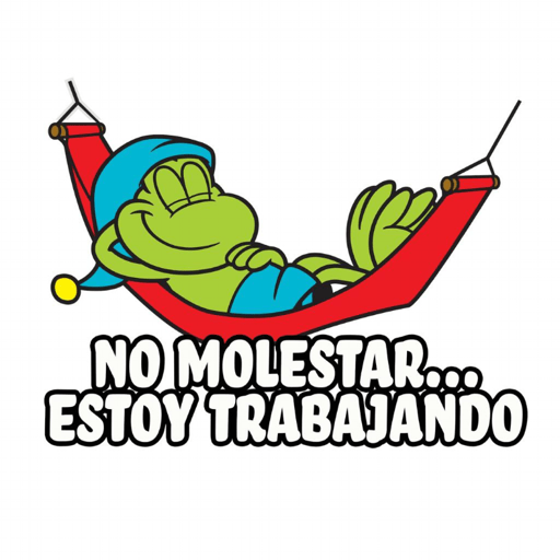 Señor Frog’s