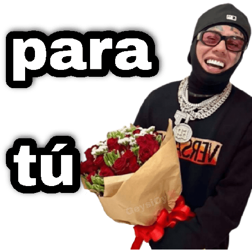 6ix9ine Anuel Yailin memes