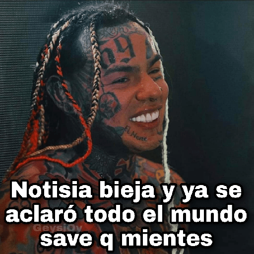 6ix9ine Anuel Yailin memes