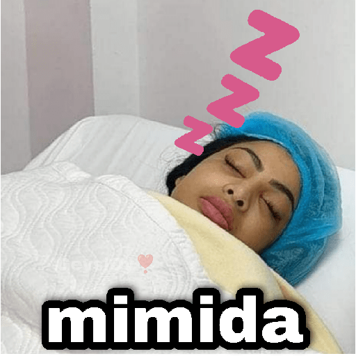 6ix9ine Anuel Yailin memes