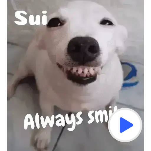 suiiii