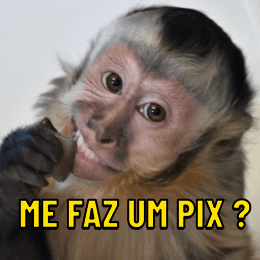 Macaquinhos memes 🤣🙈