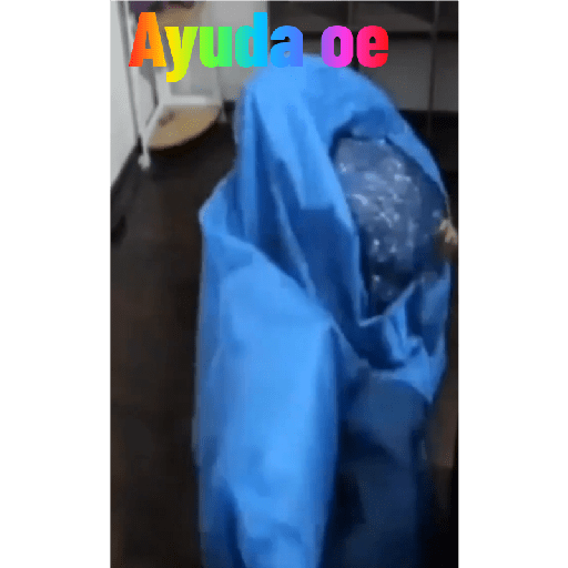 FANS DE ROXICAKE GAMER