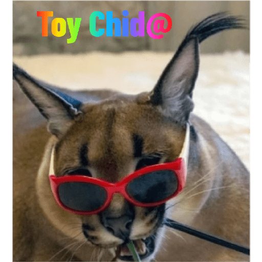 FANS DE ROXICAKE GAMER