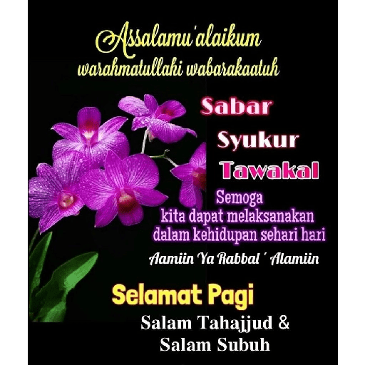 meme fesbuk assalamualaikum