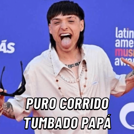 STICKERS DE PESO PLUMA😎🤠🤠