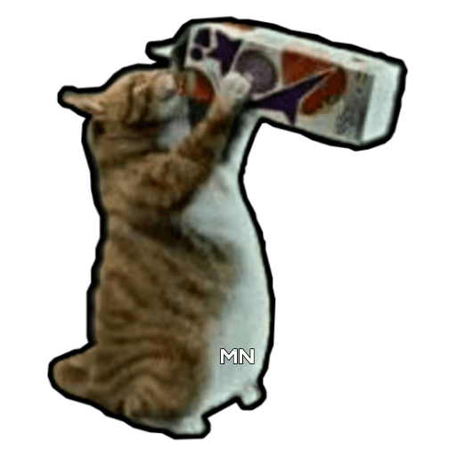 Meme Gatito Bebiendo