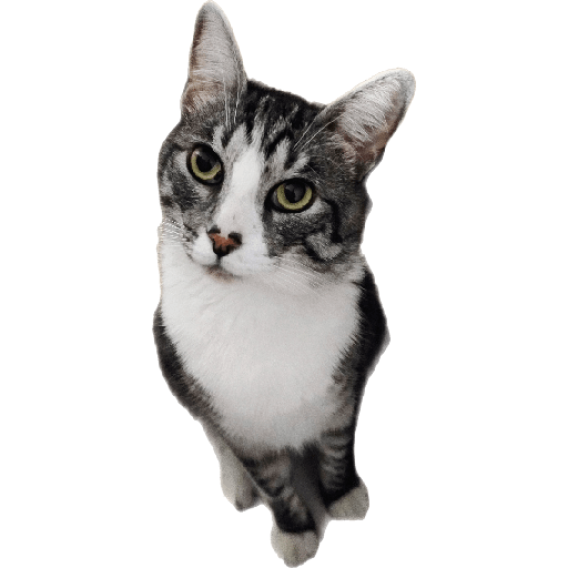 Michu Percy