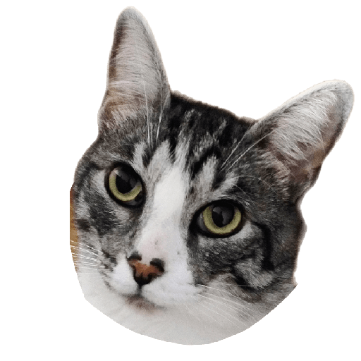 Michu Percy