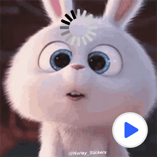 🌈 Conejito Snowball ☁️🐰