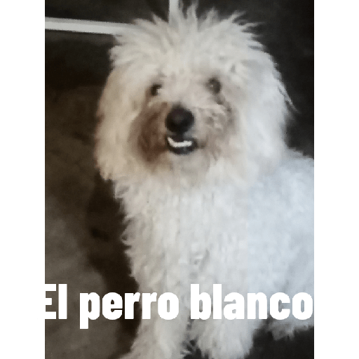 El perro blanco