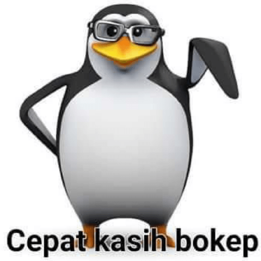 meme penguin bokep