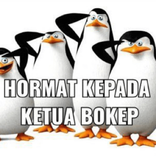 meme penguin bokep