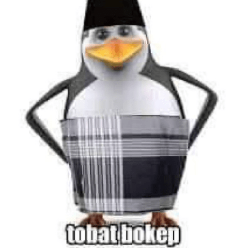 meme penguin bokep