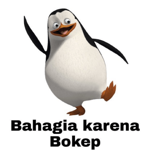 meme penguin bokep