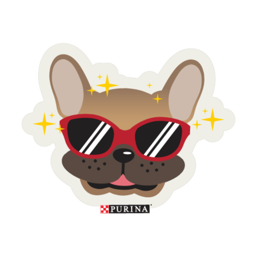 Día del Perro Purina