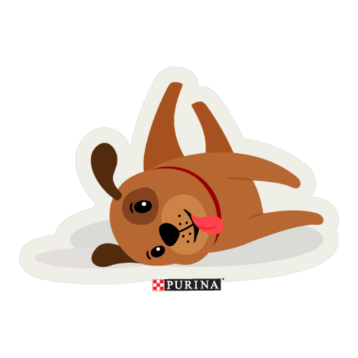 Día del Perro Purina